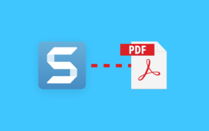 Screenshot to PDF - Snagit | TechSmith