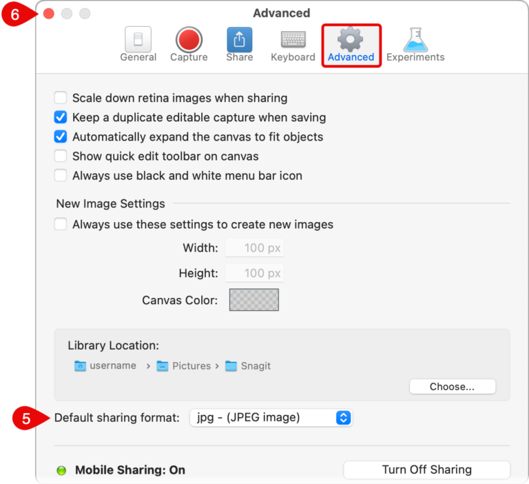 Save Capture Settings as Presets | Snagit Tutorial