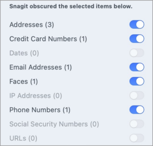 Hide Sensitive Information in an Image | Snagit Tutorial