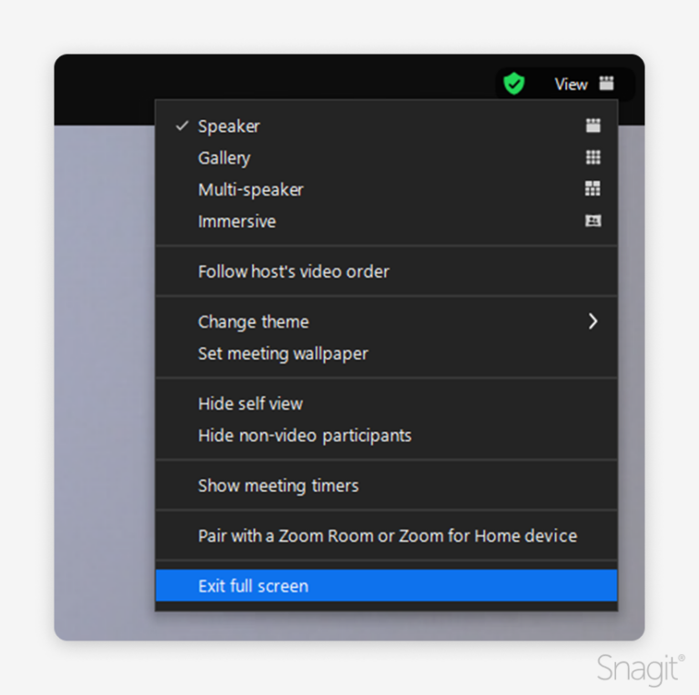 How to Enable Screen Sharing on Zoom | TechSmith