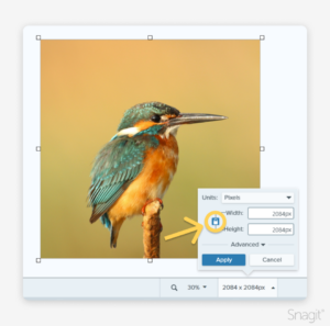 How to Resize an Image the Right Way | TechSmith