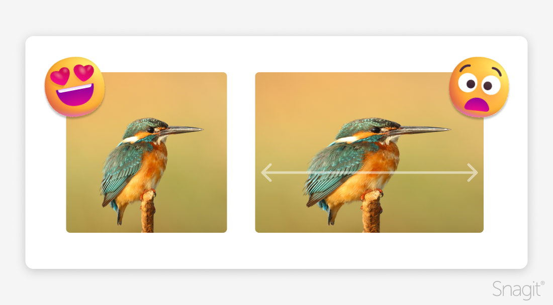 How to Resize an Image the Right Way | TechSmith