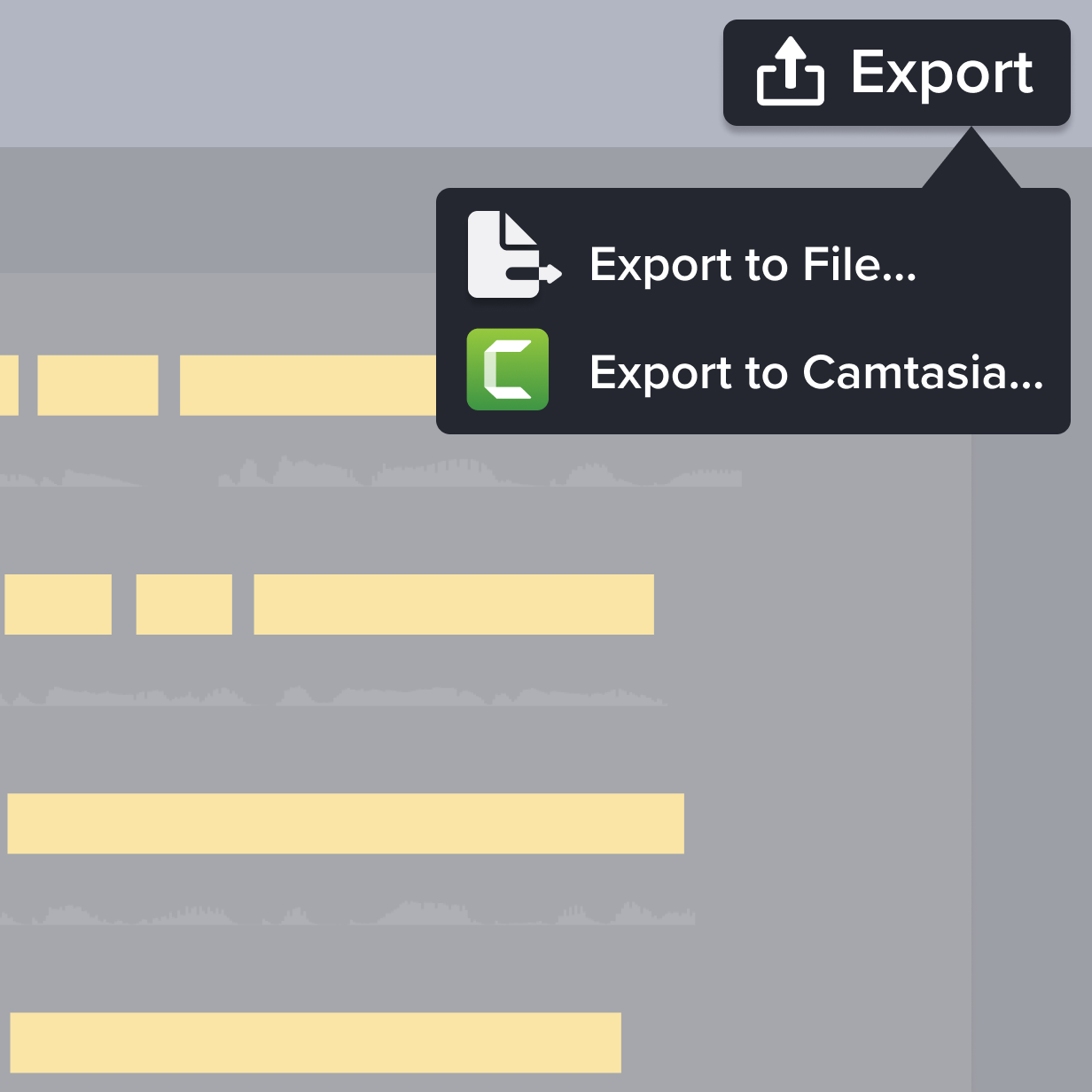 Video Translator - Camtasia | TechSmith